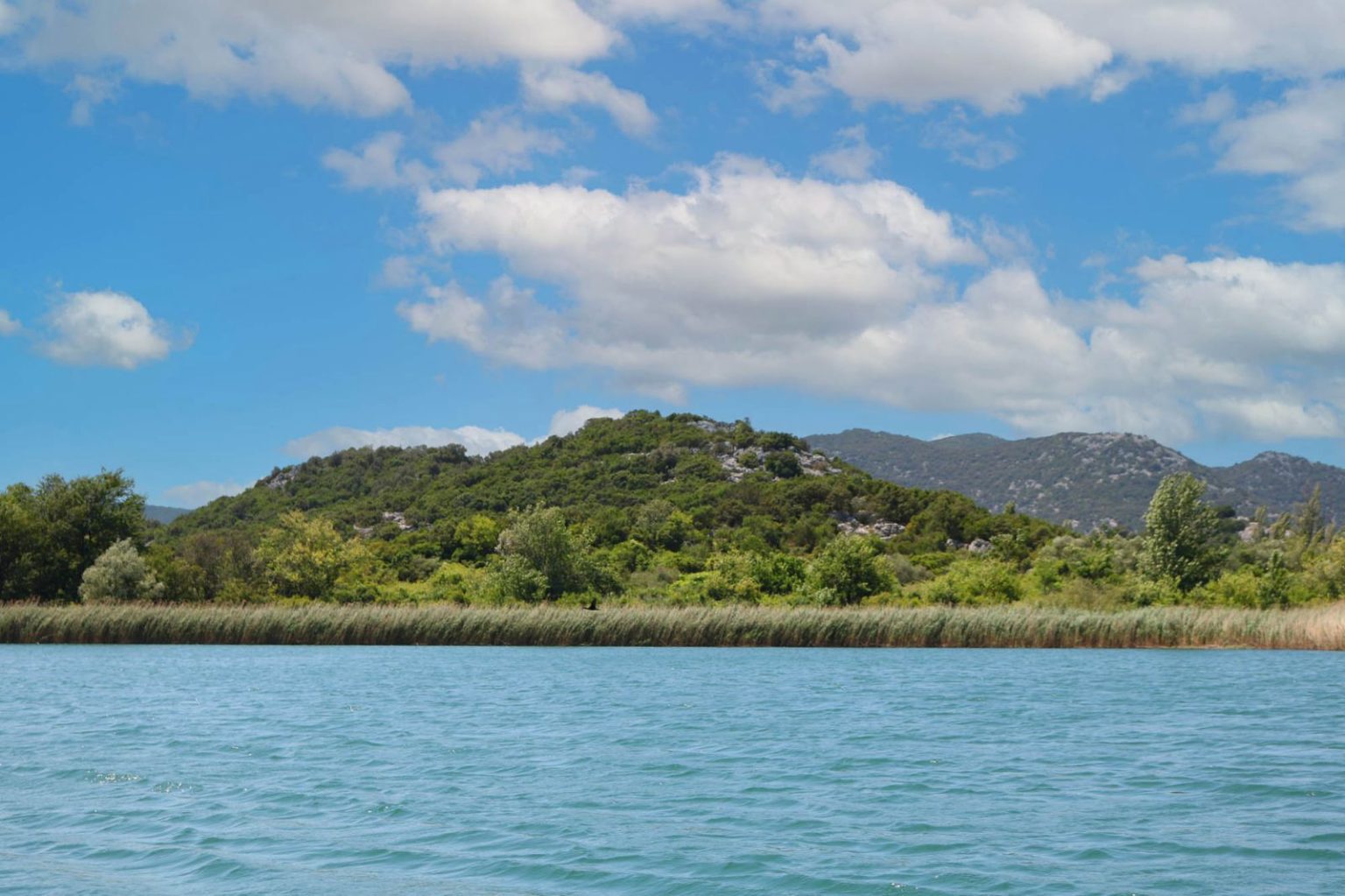 Bacina Lakes Kayaking or Photo Safari tour & Gastro fairytale ...