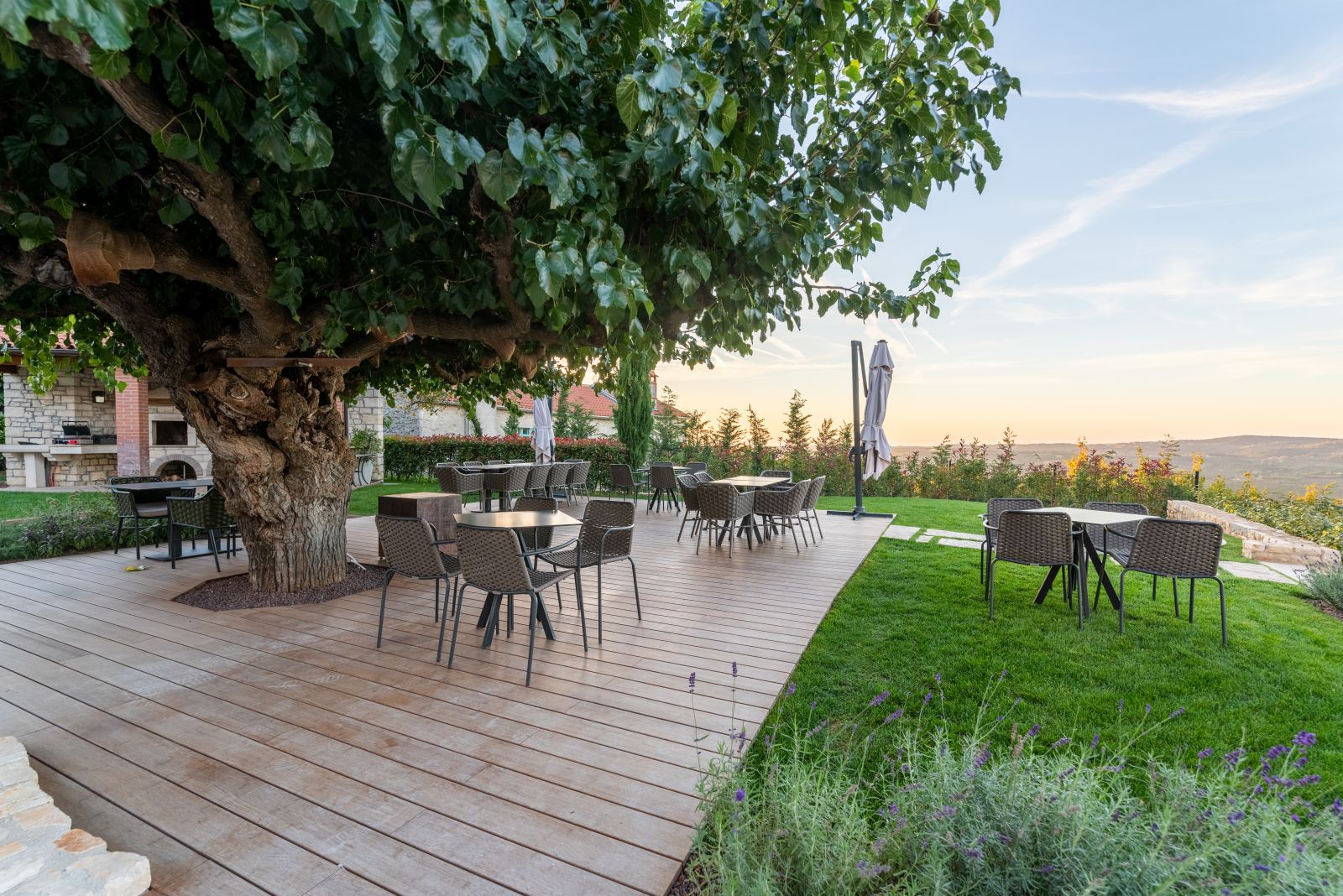 Taste the best wines of red soil - Croatian Attractions